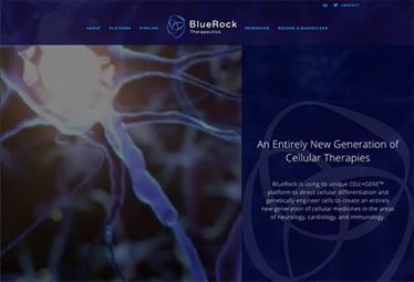 Insight Designs Web Solutions, LLC -BlueRock Therapeutics - Insight Designs Web Solutions, LLC